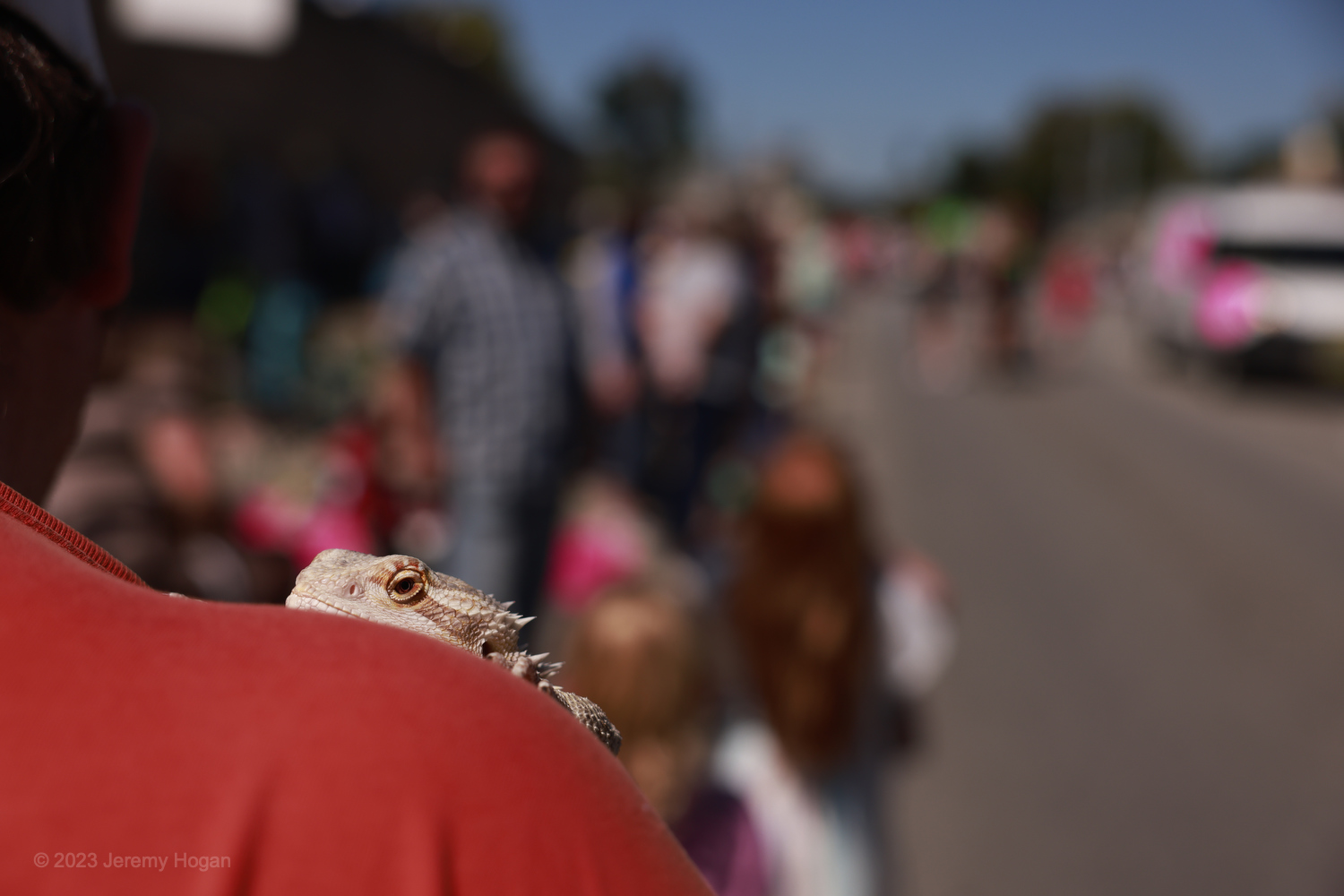 Gallery: Monroe County Fall Festival parade on September 23, 2023 in ...