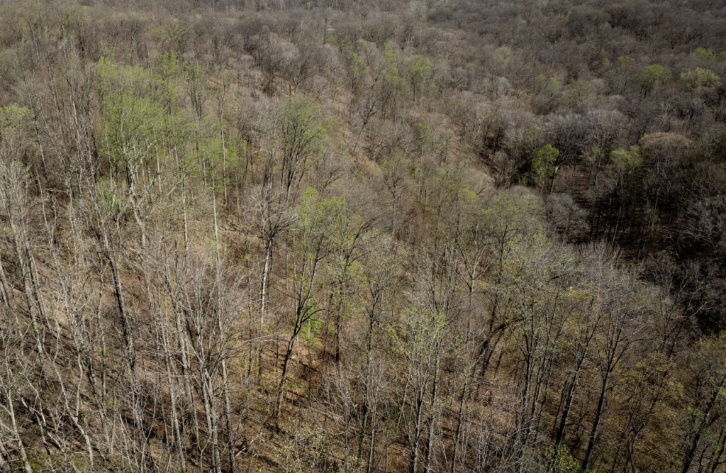 State acquires 122 acres to expand Yellowwood State Forest in Brown ...
